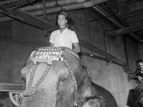 Brooke Shields at the circus | Circus Historical Society